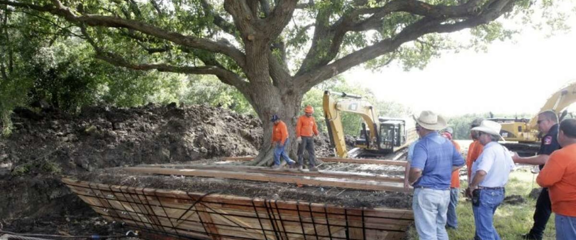 Moving Trees: What is the Largest Tree That Can Be Moved Safely?