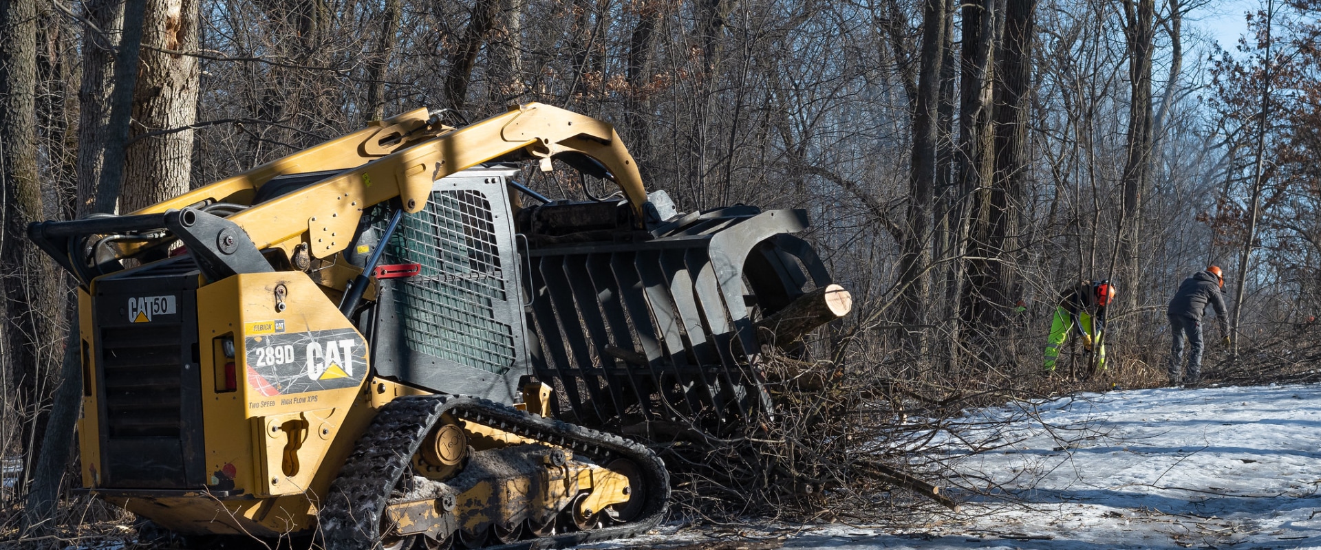 Brush Clearing For Tree Relocation: Why It's Crucial For Ensuring ...