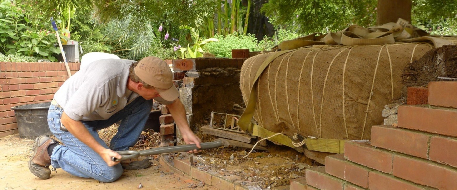 Relocating Trees: A Comprehensive Guide